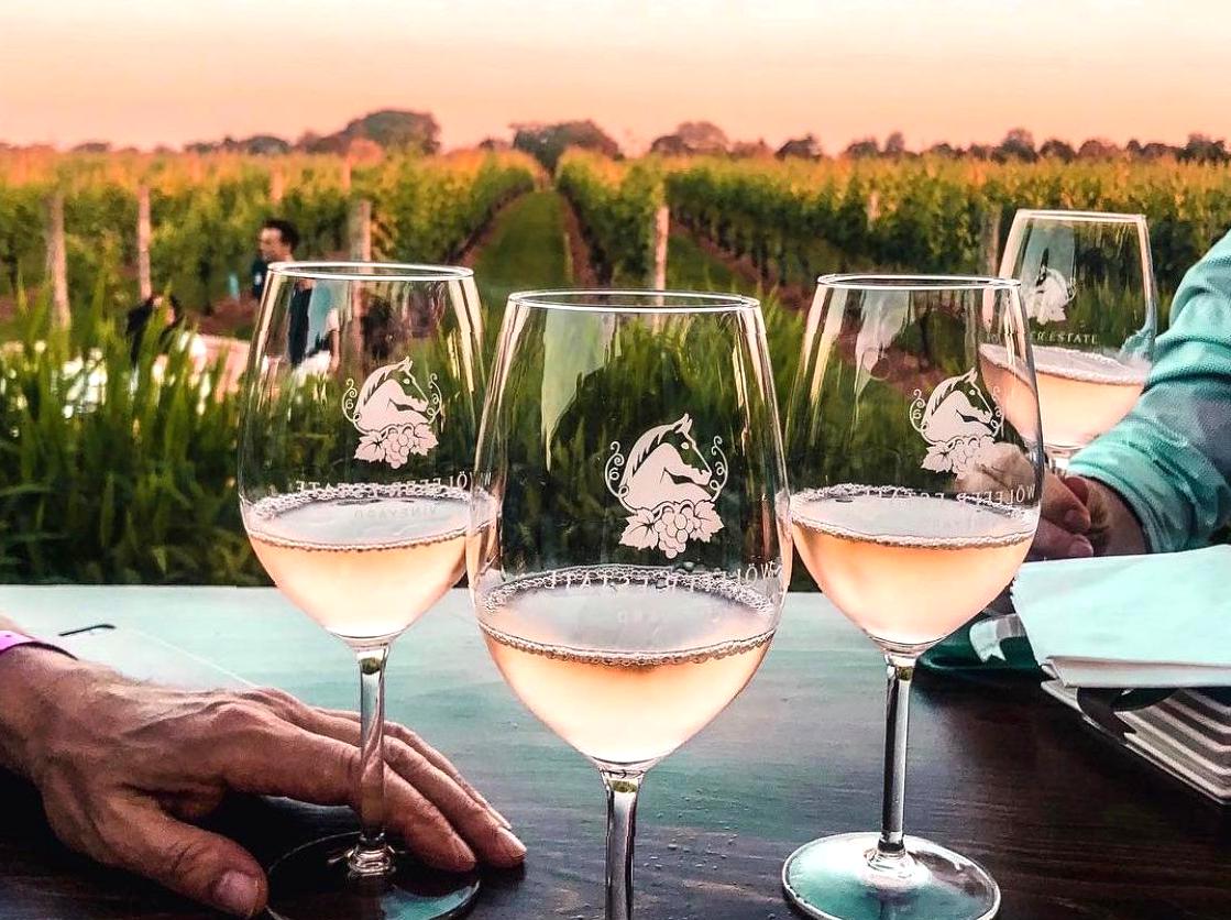 Discover the Ultimate Vineyard Lunch Experience on Phillip Island